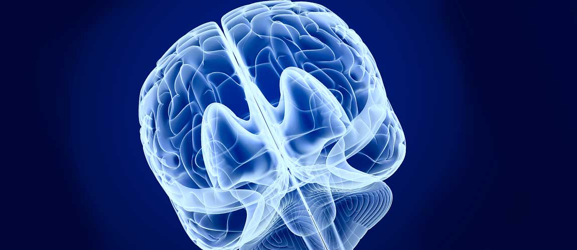 Researchers Uncover the Intricate Relationship Between Sleep and Memory ...