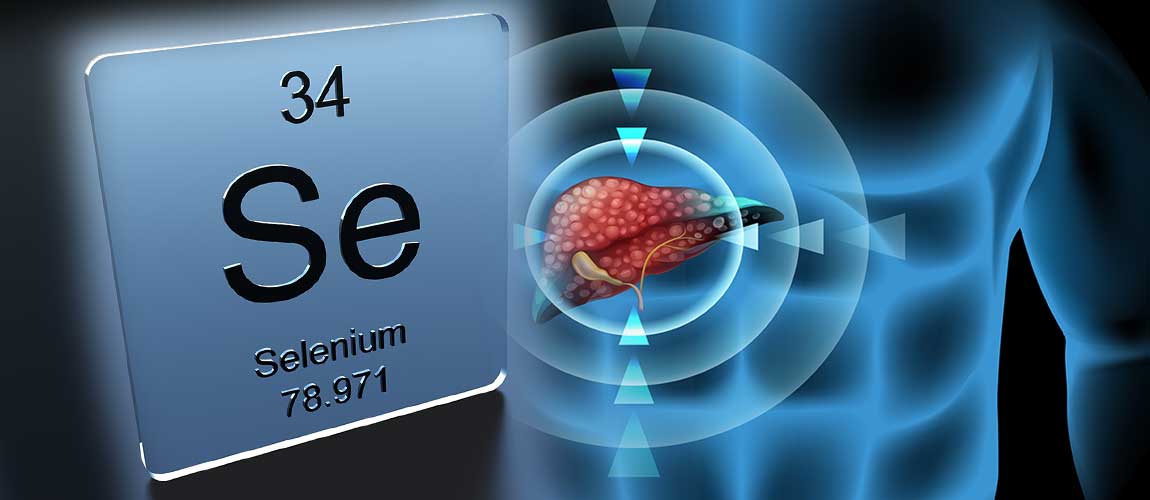 Exploring The Connection Between Selenium Deficiency And Liver Health
