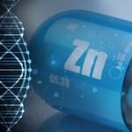 Boosting Zinc Intake Can Protect Your DNA - Chronoceuticals.com