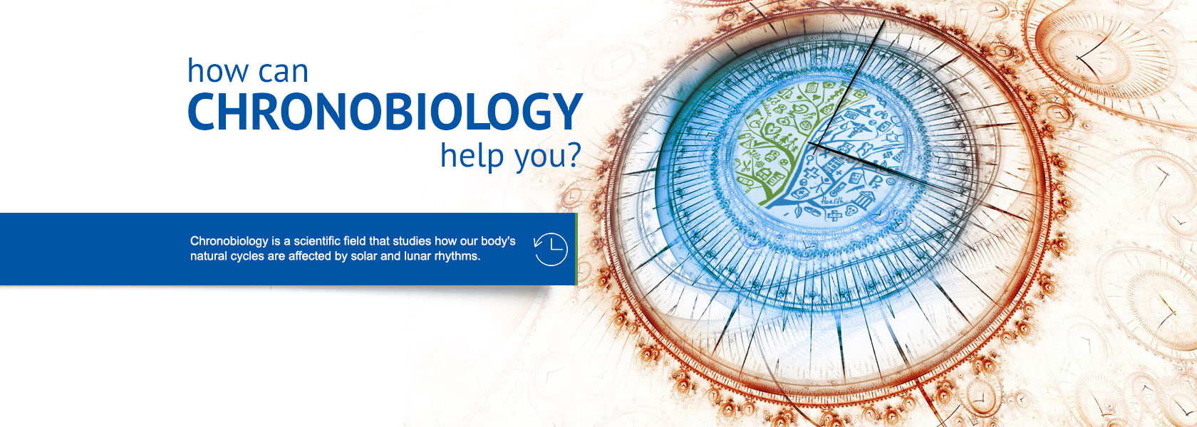 Chronobiology Products | Dietary Supplement | Immune Boost Vitamins ...