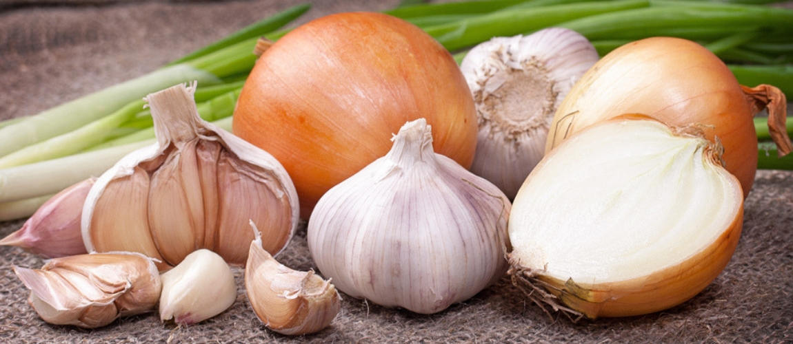 Diallyl Sulfide and Cancer: Can a Vegetable Compound Protect Against a ...